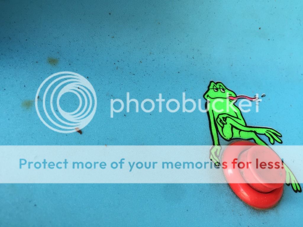 Gremlin FROGS! | Museum of the Game® & International Arcade Museum® Forums